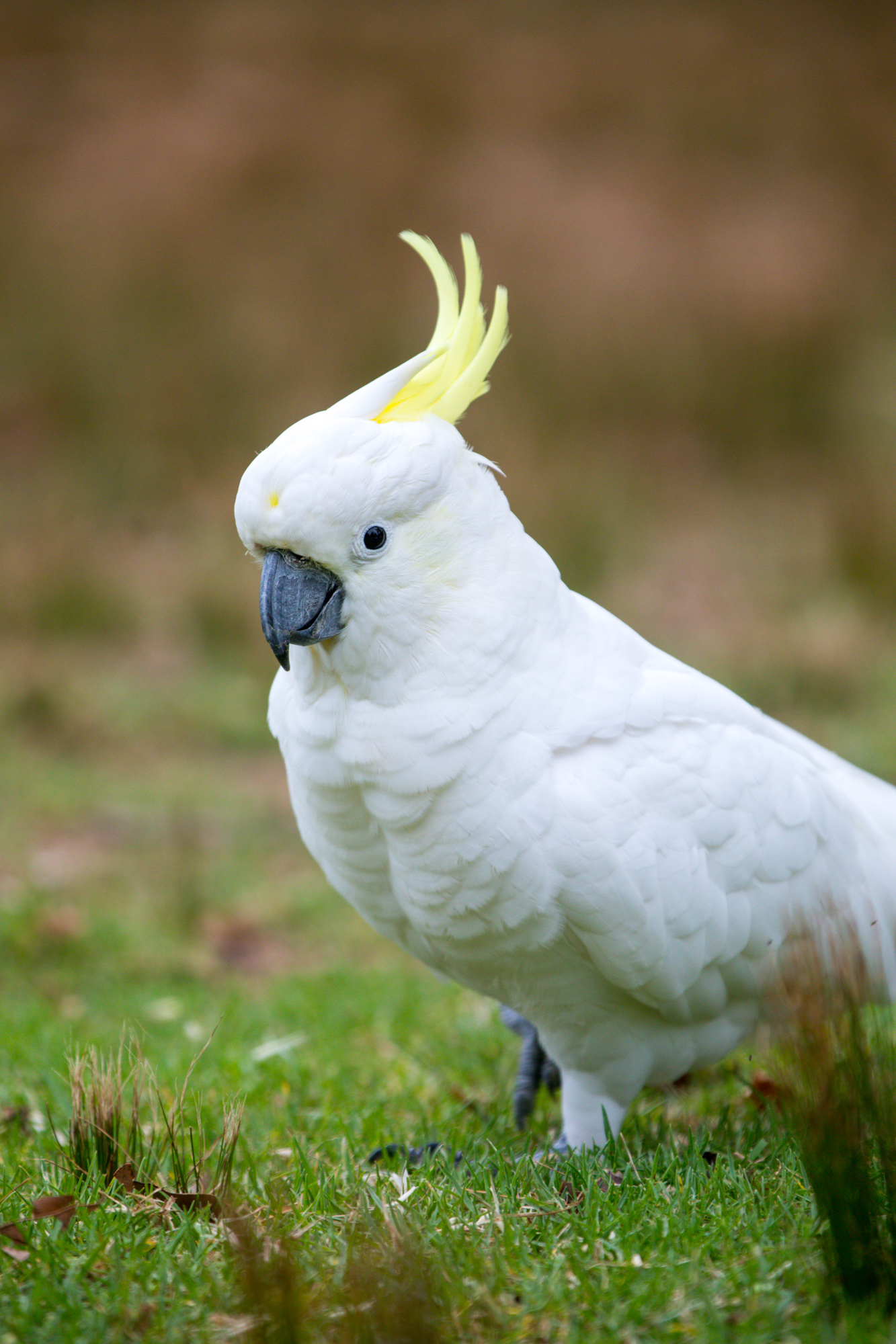 C31A1270web – Agape Visuals