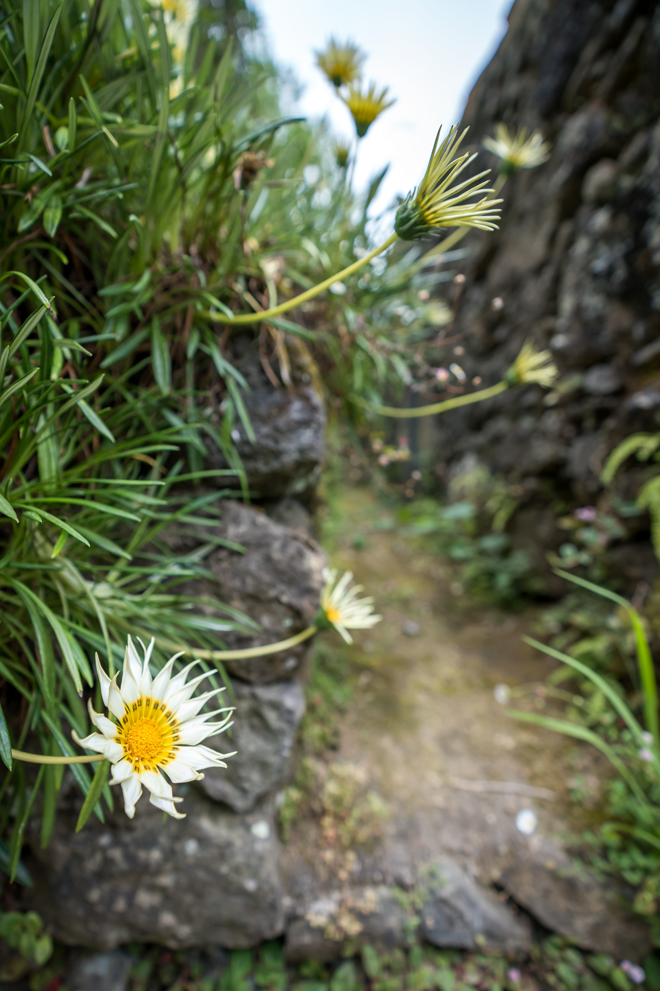 JPT00648-edit-WEBedit – Agape Visuals